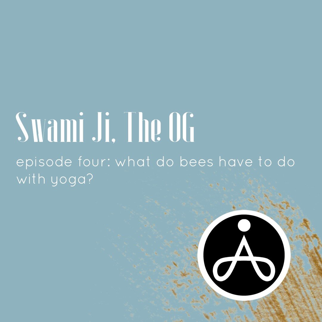 What do Bees Have to do With Yoga? - Lotus Flower LLC